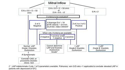 European Heart Journal - Cardiovascular Imaging | Oxford Academic