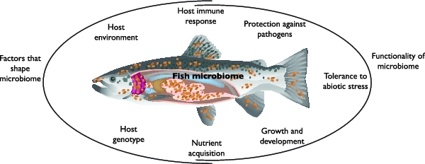 FEMS Microbiology Ecology | Oxford Academic