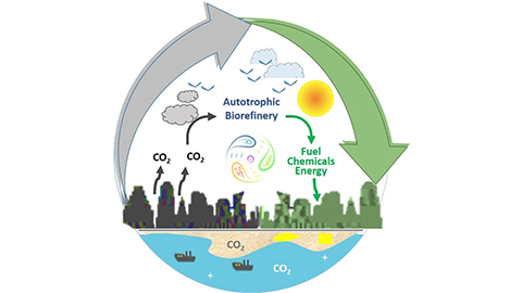 FEMS Microbiology Letters | Oxford Academic