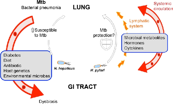 Pathogens and Disease | Oxford Academic