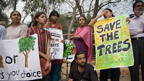 Social Licence to Operate and Forestry