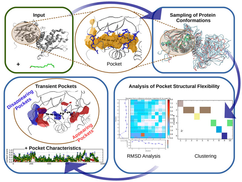 Graphical Abstracts Examples Nucleic Acids Research Oxford 
