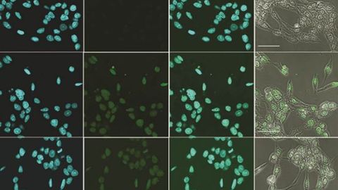 Protein Engineering, Design and Selection | Oxford Academic