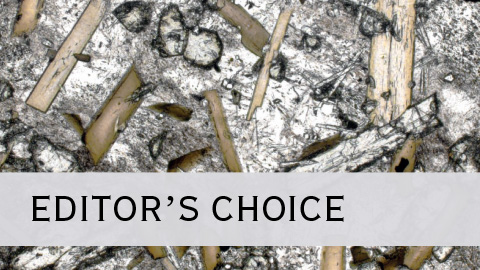 Journal of Petrology | Oxford Academic