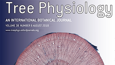 Transport efficiency and cavitation resistance in developing shoots: a ...
