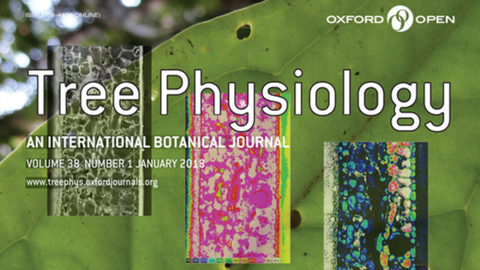 Tree Physiology | Oxford Academic
