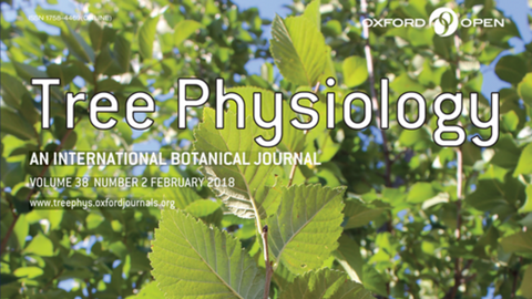 Tree Physiology | Oxford Academic