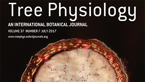 Tree Physiology | Oxford Academic