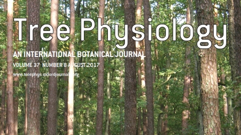 Tree Physiology | Oxford Academic