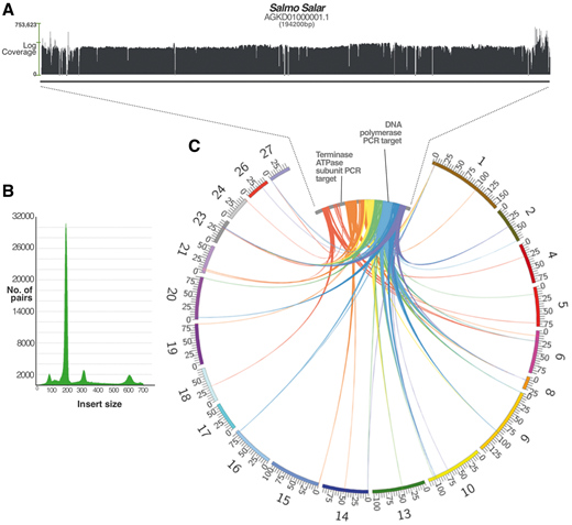 Virus Evolution | Oxford Academic