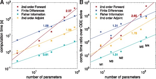 Optimization And Profile Calculation Of Ode Models Using Second Order Adjoint Sensitivity