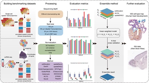 Benchmarking And Integration Of Methods For Deconvoluting Spatial